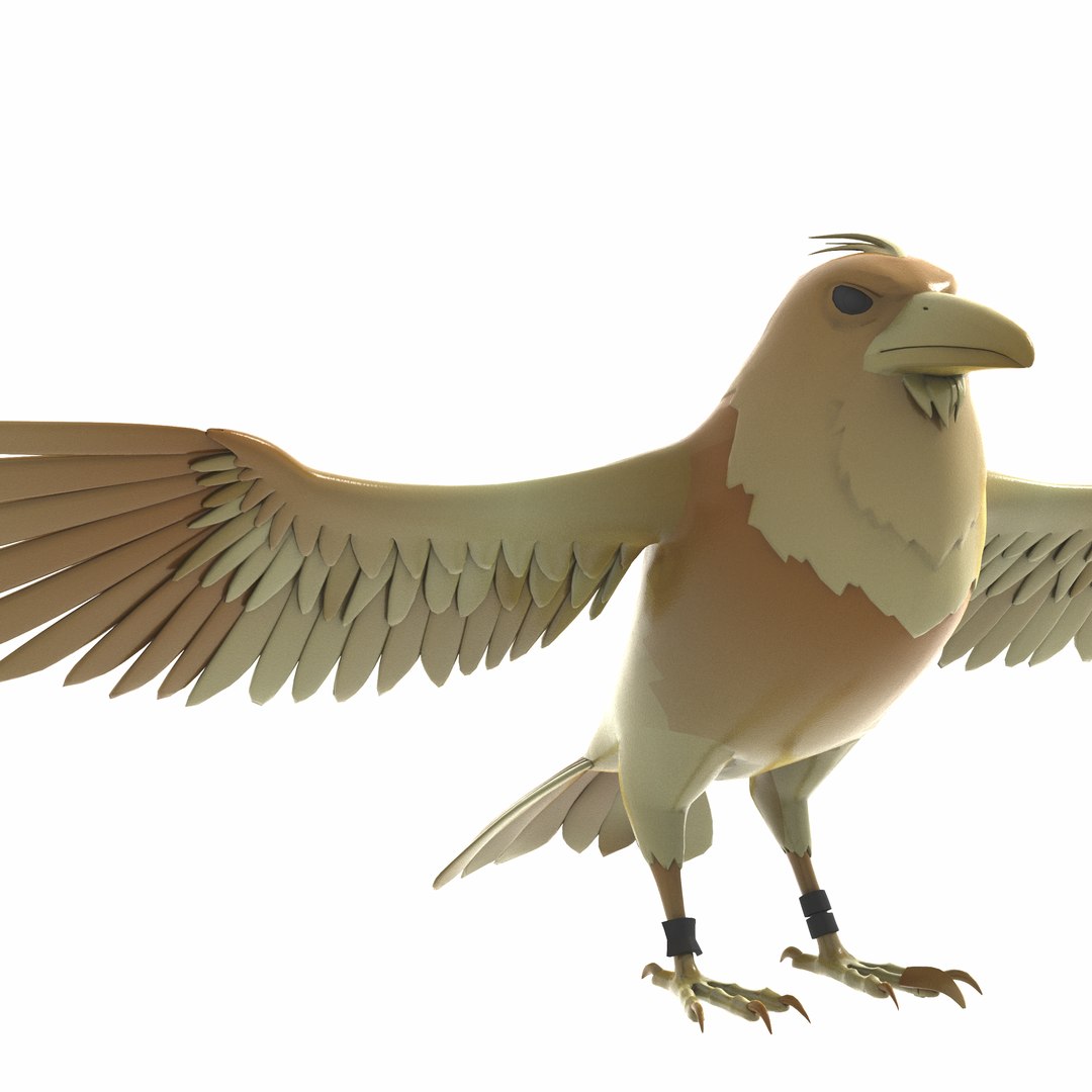 3D Cartoon Bird - TurboSquid 1248471