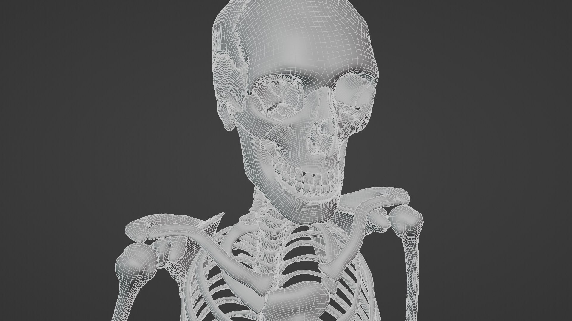 Ultimate 3D Human Skeleton Model - Perfect For Medical Training And ...