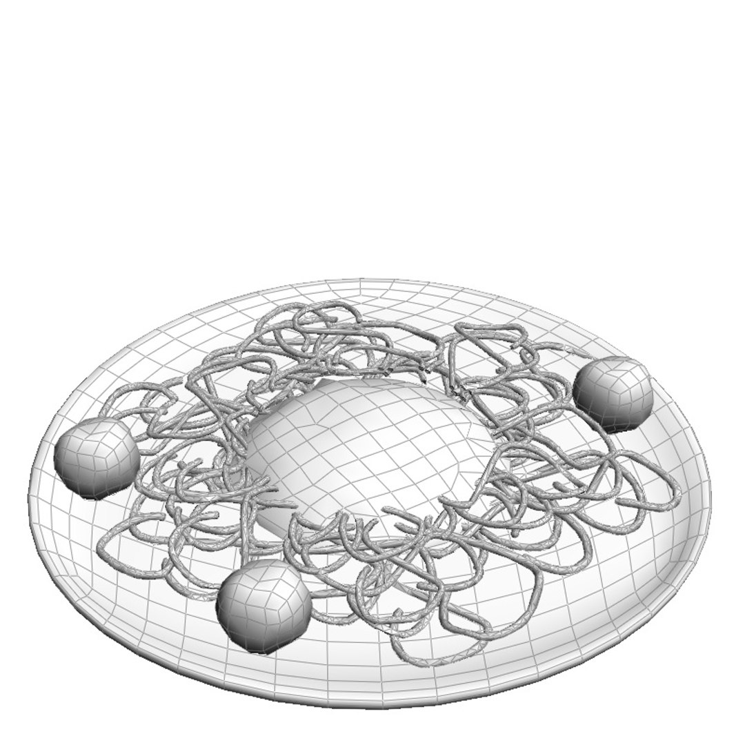 Maya Meatballs Spaghetti