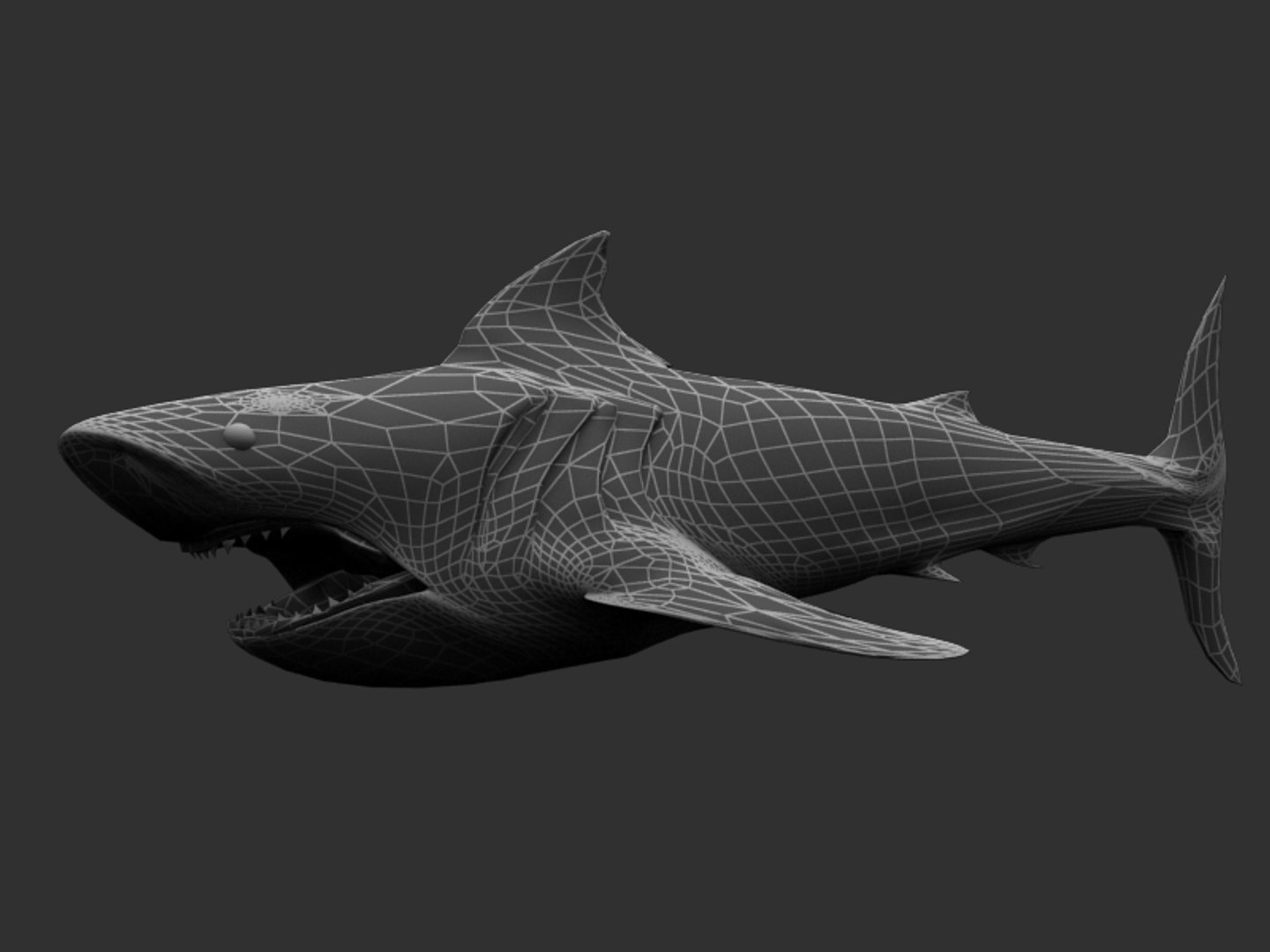Shark Rigged 3d Max