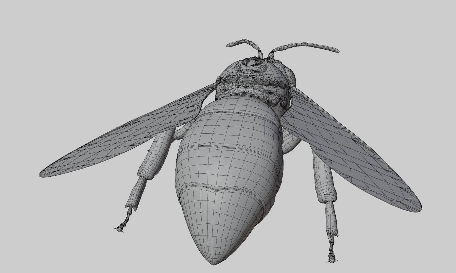 3D Model Animated Bee Vray - TurboSquid 1736942
