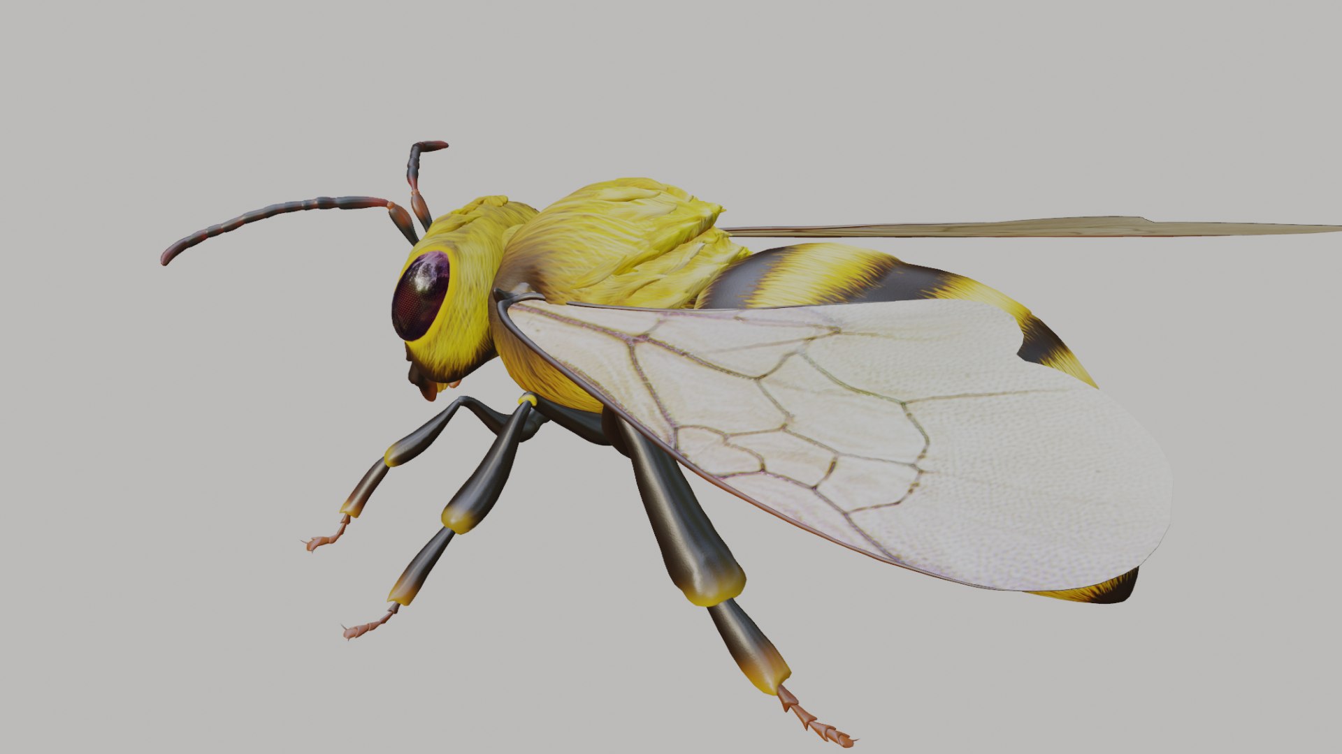 3D Model Animated Bee Vray - TurboSquid 1736942