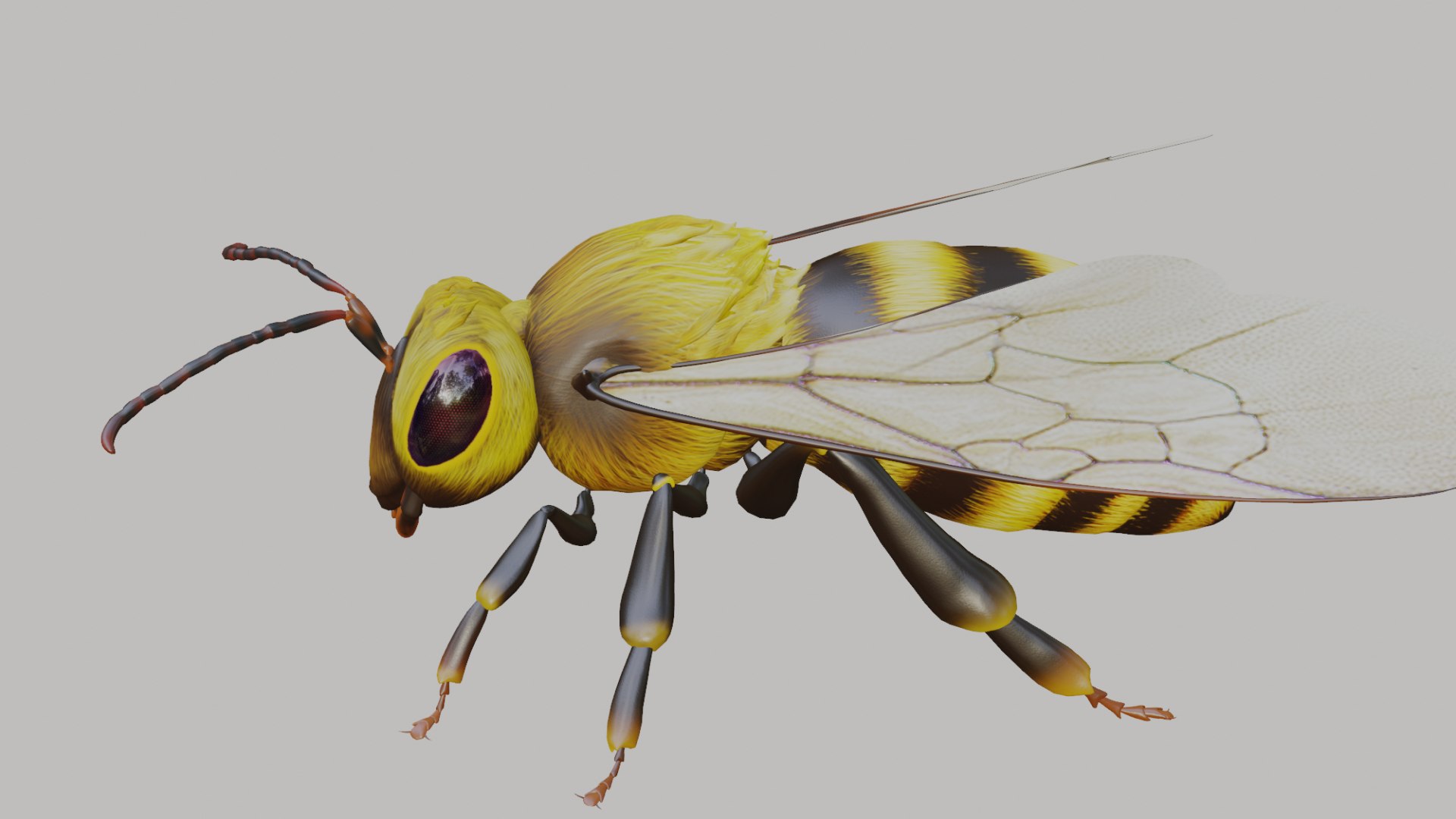 3D Model Animated Bee Vray - TurboSquid 1736942