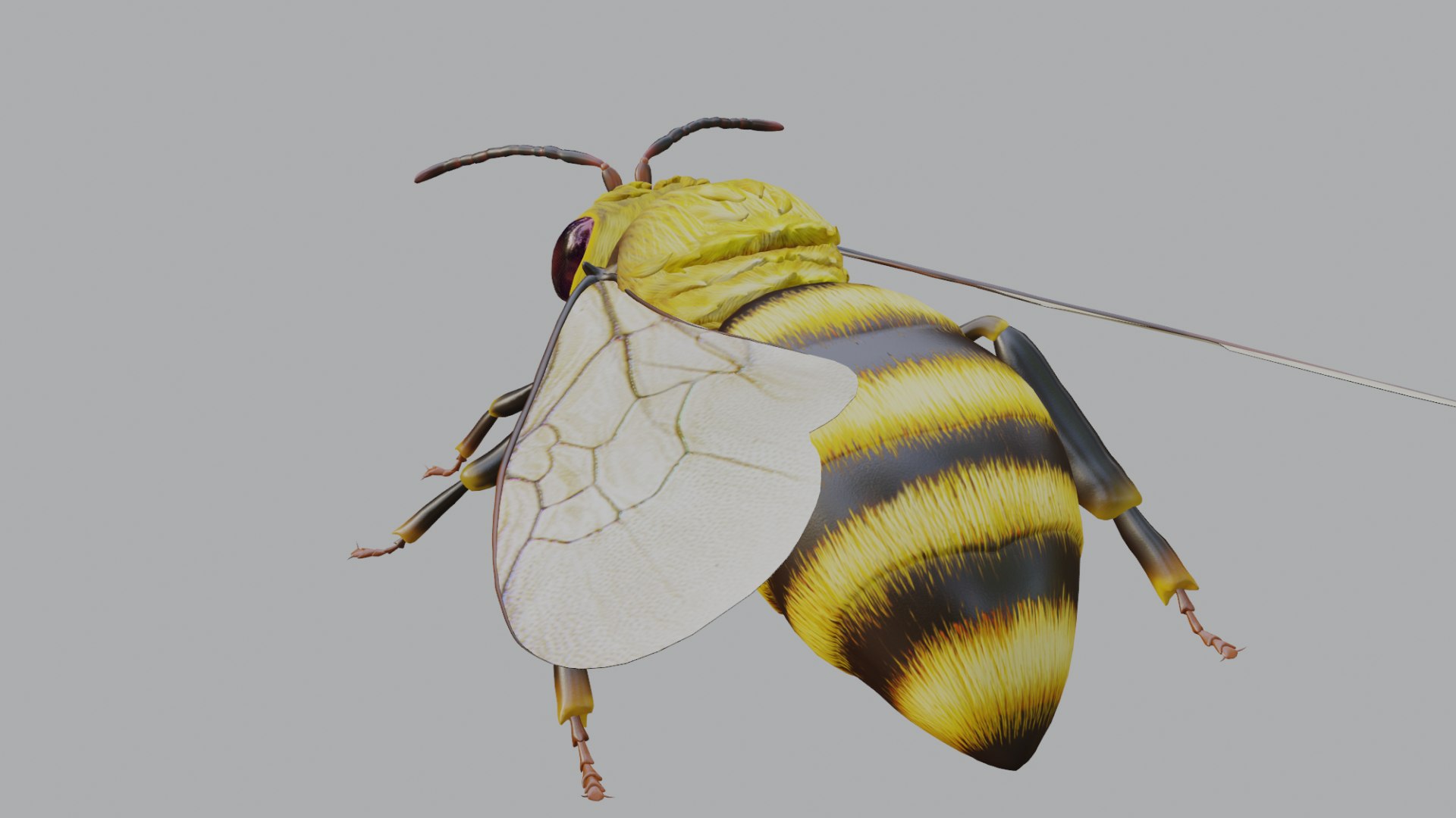 3D Model Animated Bee Vray - TurboSquid 1736942