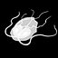3d Model Protozoa Girdia