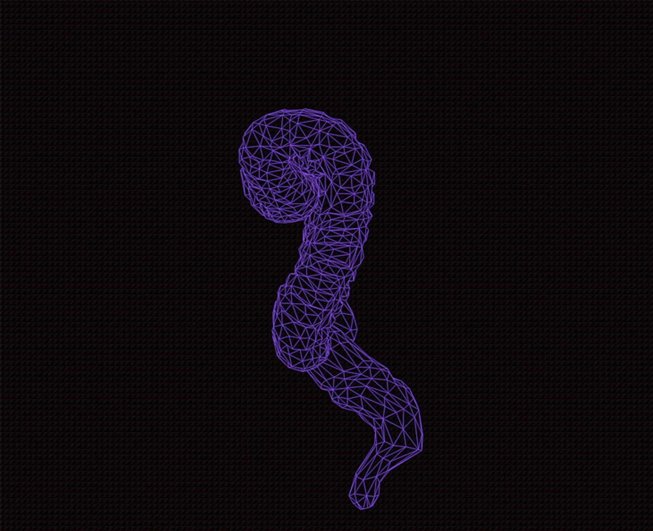 3d Intestine Model