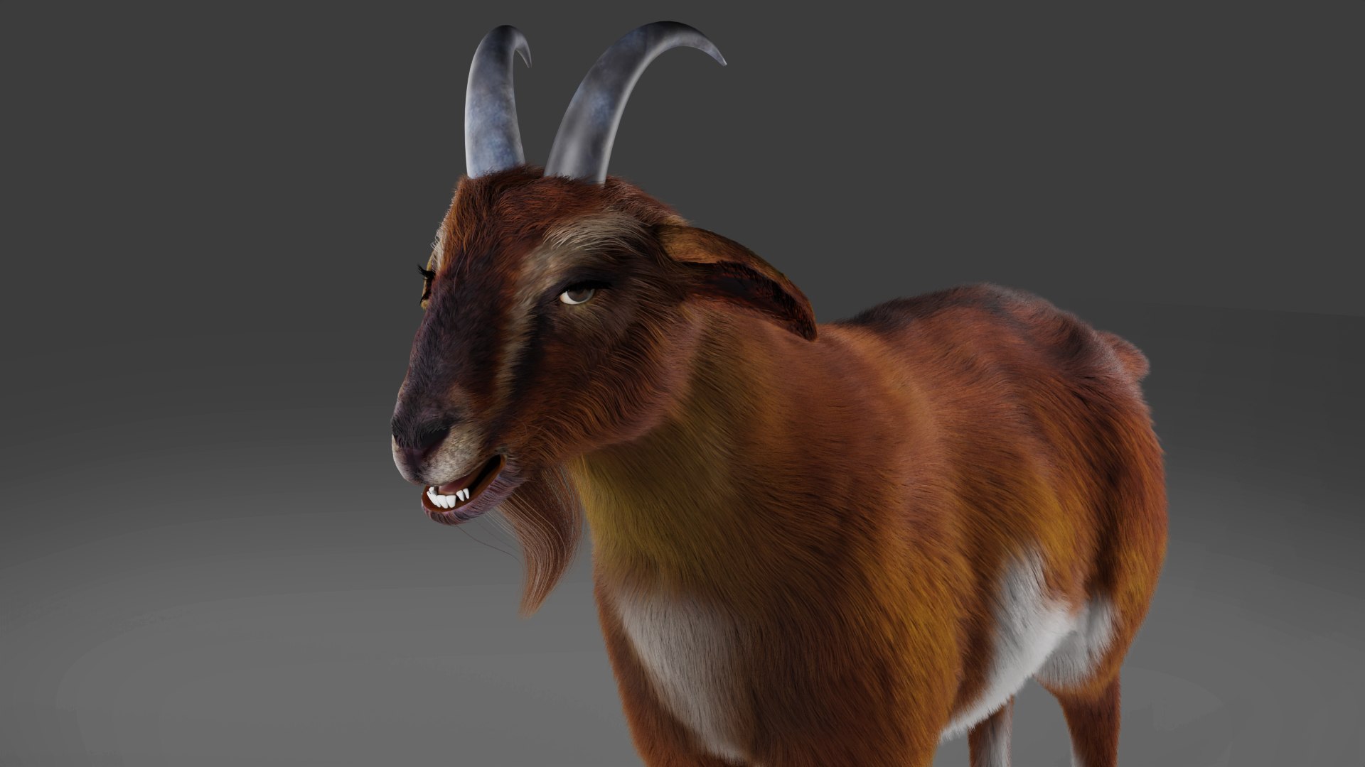 3D Fur Goat 04 NO Rigged In Blender - TurboSquid 2006397