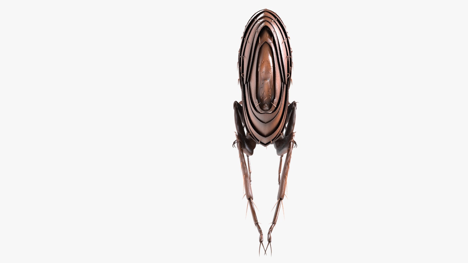 3D Model 4K Textures Flea - TurboSquid 2227199