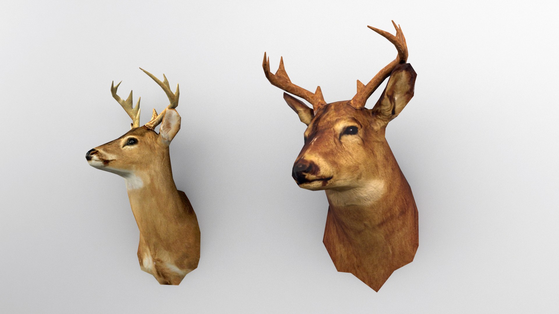 3ds max taxidermy deer