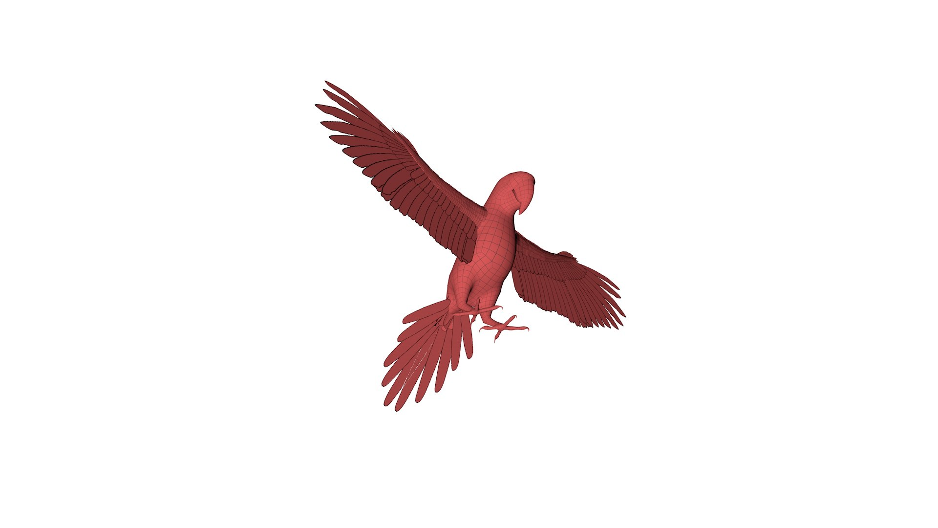 Mesh Parrot 3D Model - TurboSquid 1662187