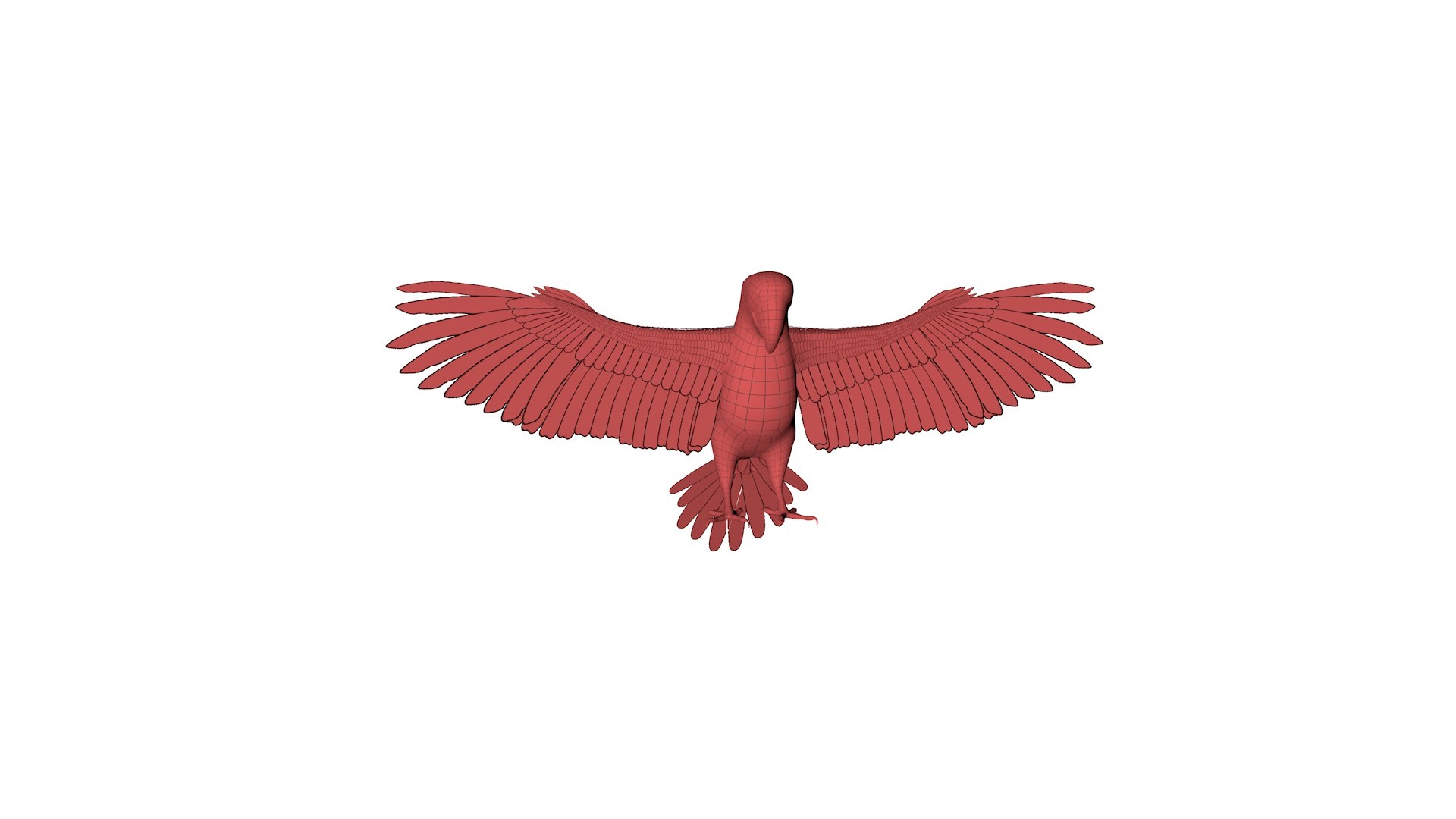 Mesh Parrot 3D Model - TurboSquid 1662187