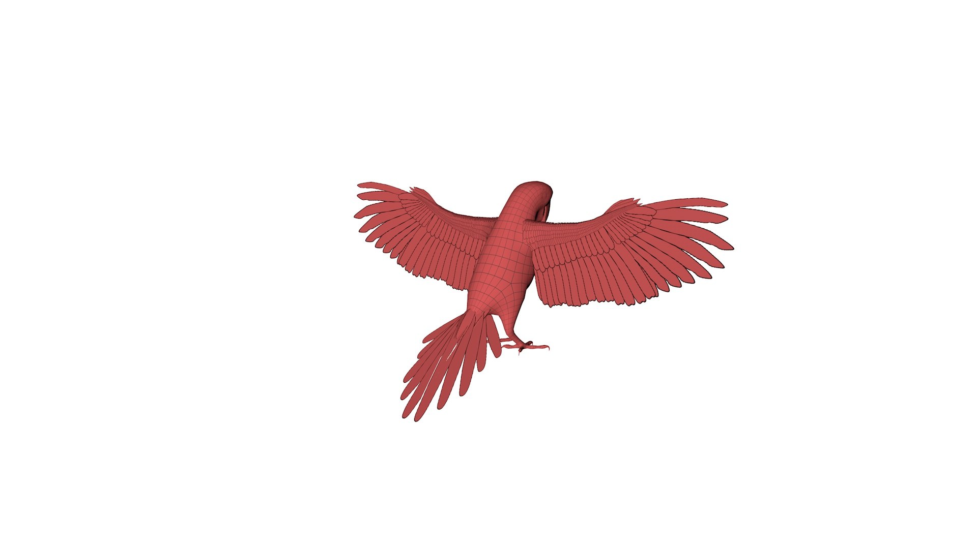 Mesh Parrot 3D Model - TurboSquid 1662187