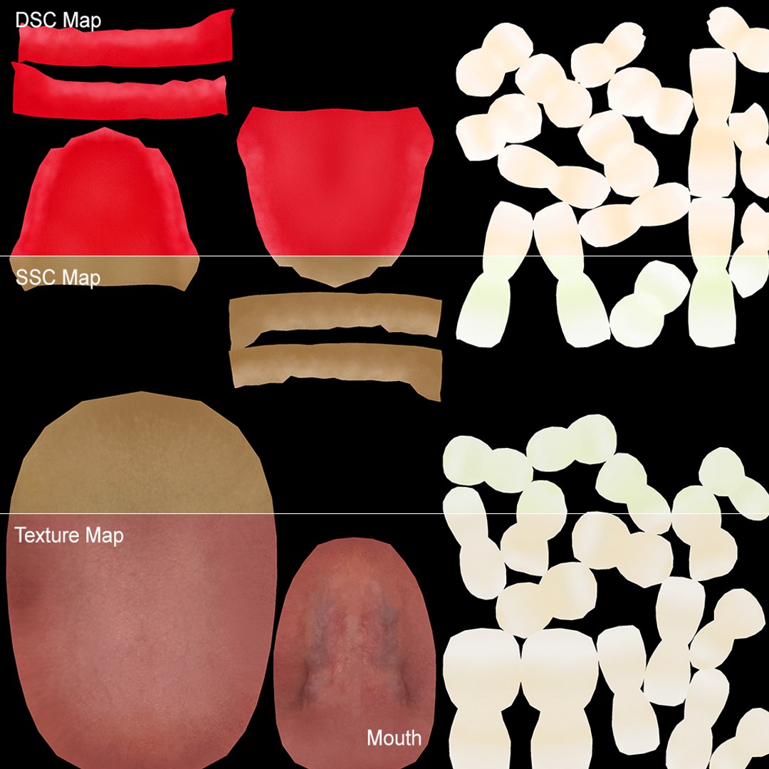 Mouth Modeled Real Realistic 3D - TurboSquid 1389823