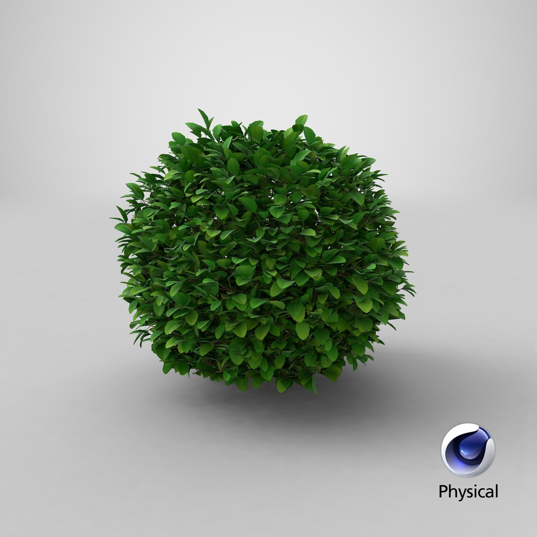 Cartoon Bush 10 3D Model - TurboSquid 1941429