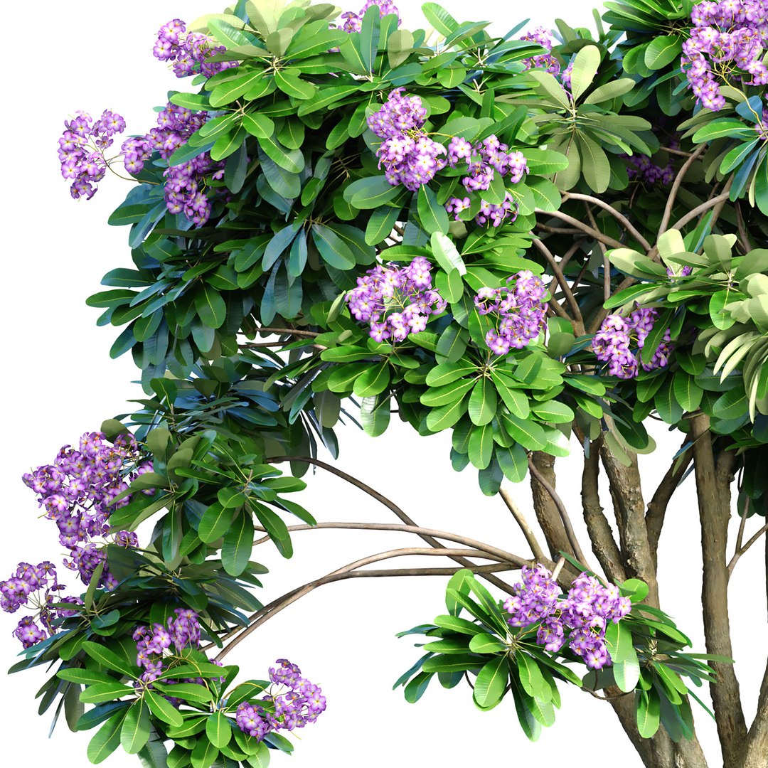 Decorative Flowering Garden Tree Decoration Provence Style Lilac 3D ...