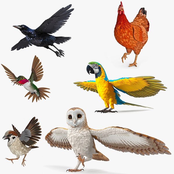 Owl 3D Models for Download | TurboSquid