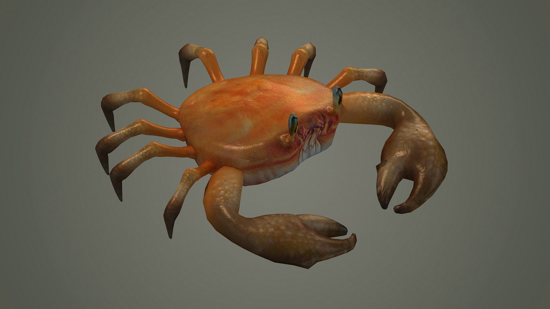 Crab Animal 3d Model Texture Arthropod Character 3D Model - TurboSquid ...