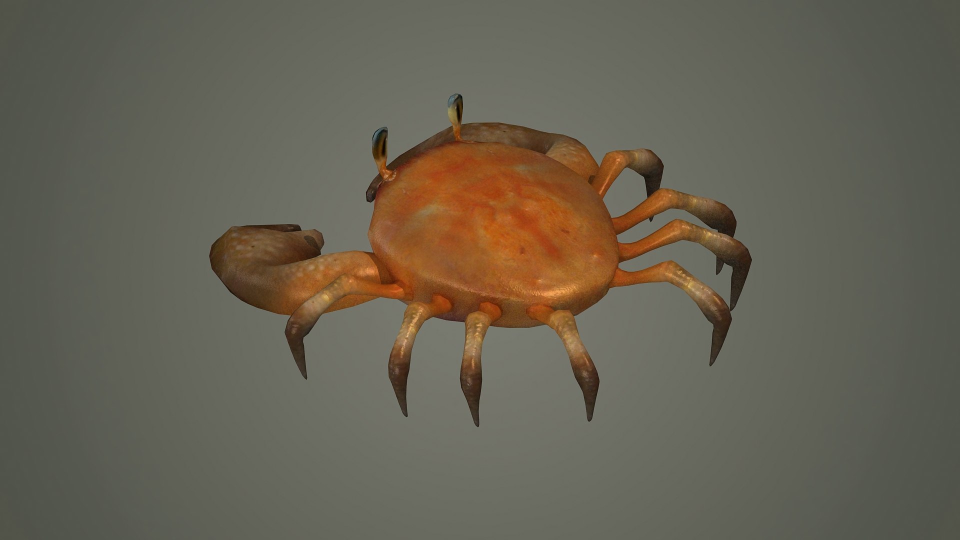 Crab Animal 3d Model Texture Arthropod Character 3D Model - TurboSquid ...
