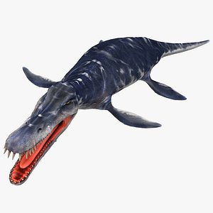Kronosaurus 3D Models for Download | TurboSquid