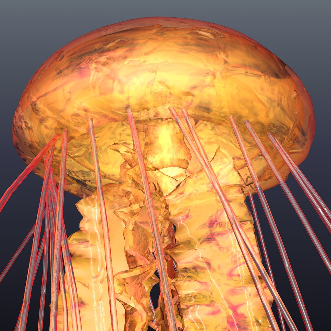 Realistic Jellyfish 3D Model - TurboSquid 1456650