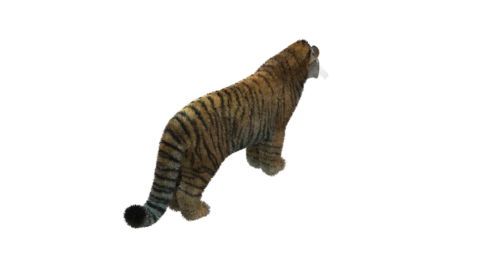 Tiger 3D Model - TurboSquid 1839110