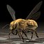 3ds Max Honey Bee