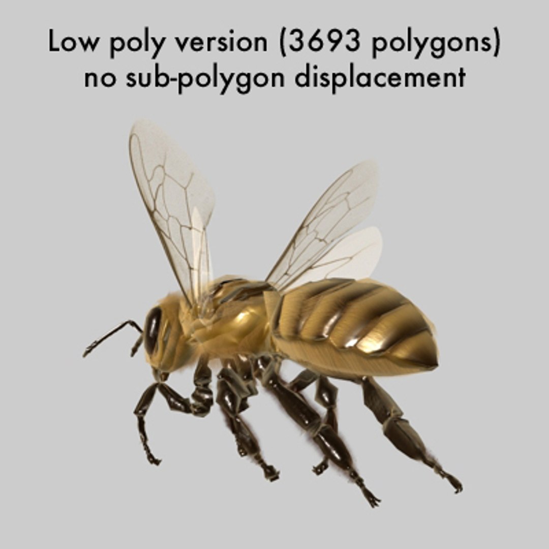 3ds Max Honey Bee