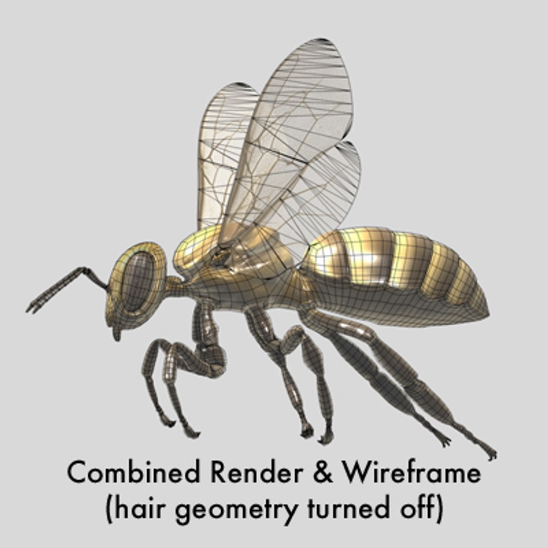 3ds Max Honey Bee