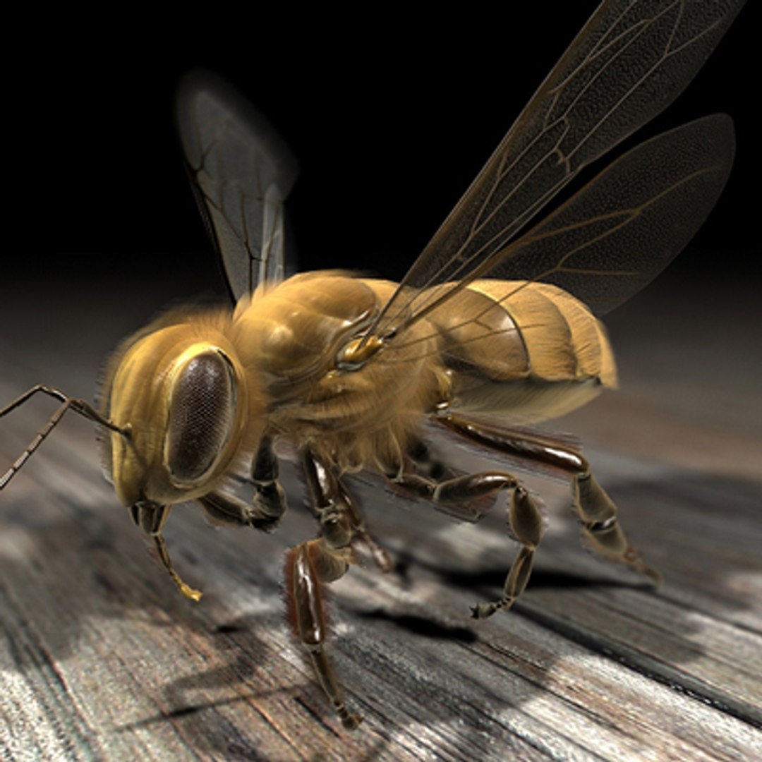 3ds Max Honey Bee
