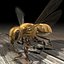 3ds Max Honey Bee