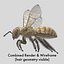 3ds max honey bee