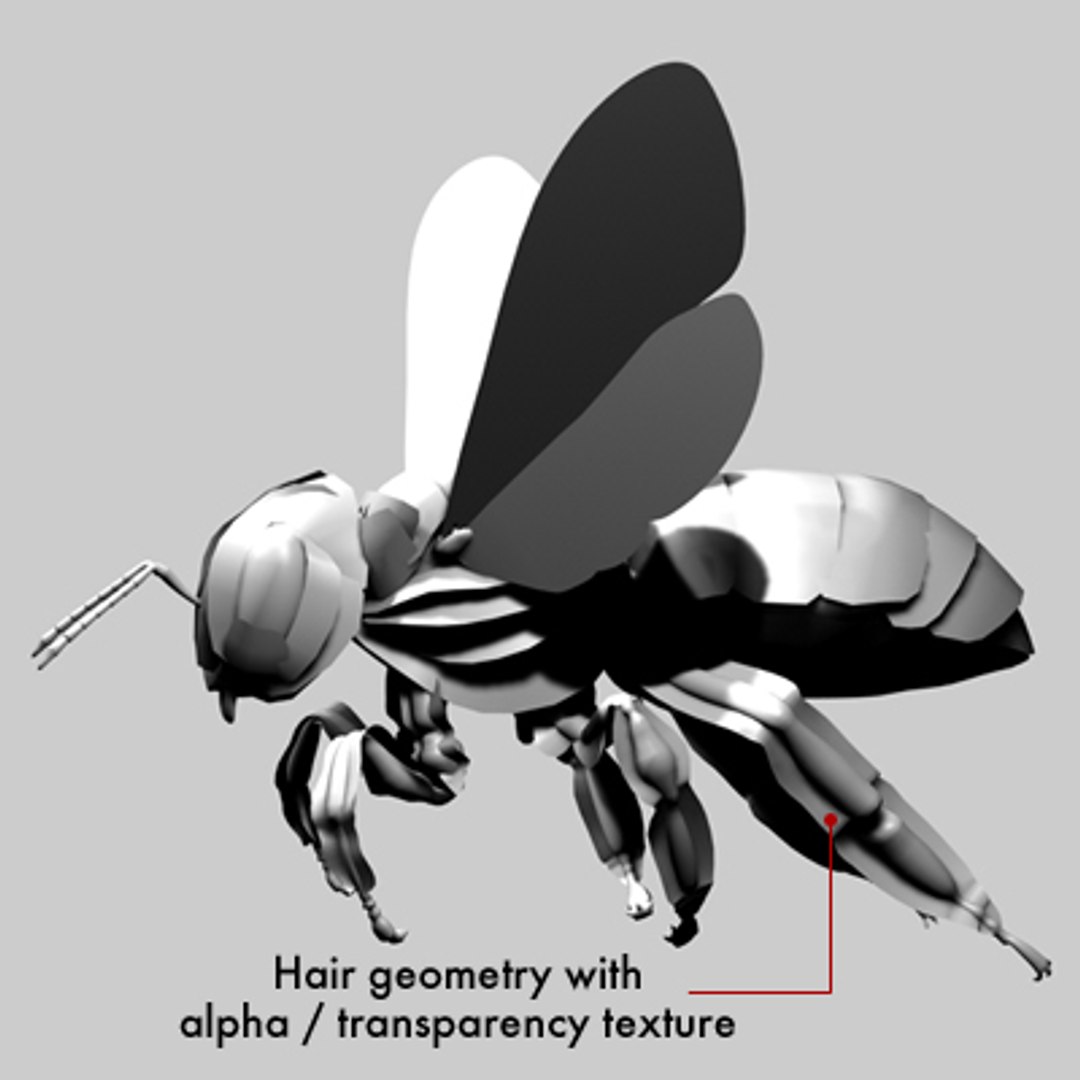 3ds Max Honey Bee