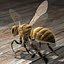 3ds max honey bee