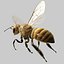 3ds Max Honey Bee