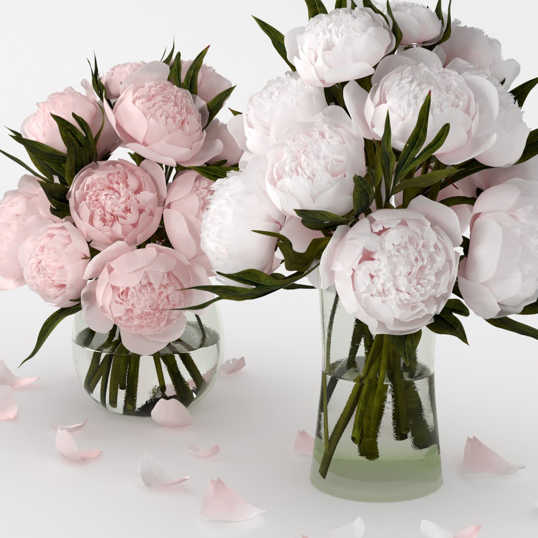 Bouquet White Pink Model - TurboSquid 1491868