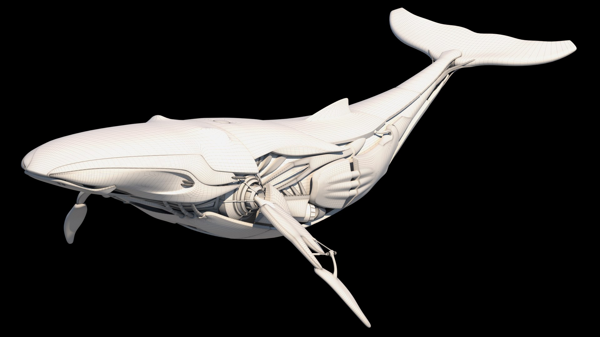 Sci-fi Whale 3D Model - TurboSquid 1515008