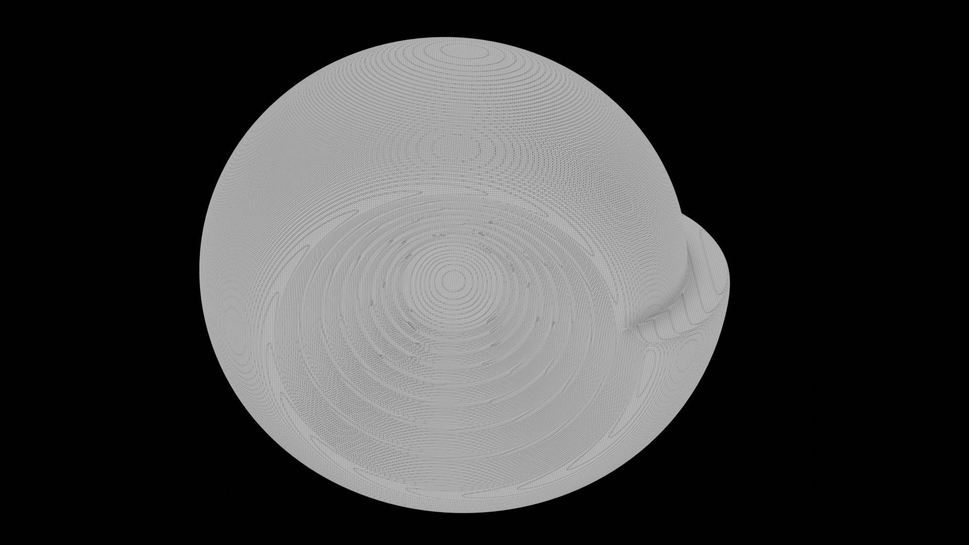 3D Ammonoid Shell Involute And Depressed Somoholites Model - TurboSquid ...