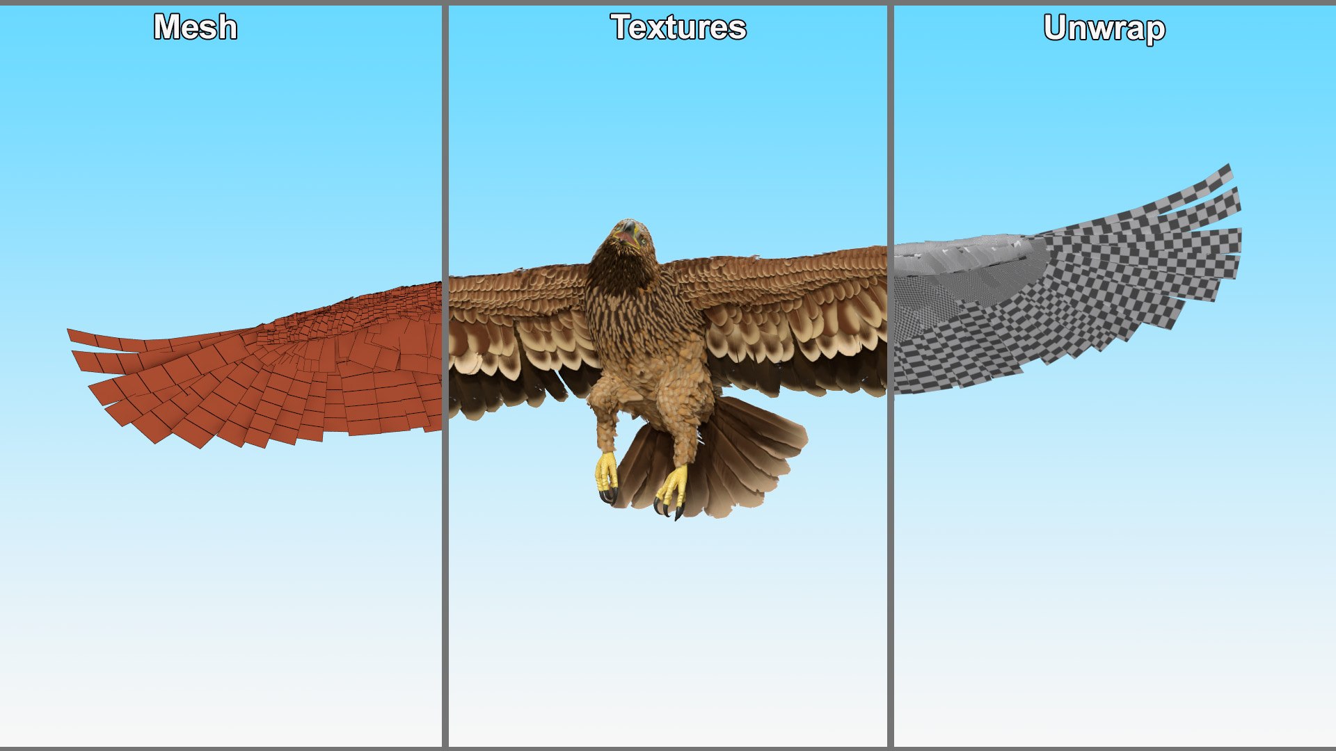 Imperial Eagle Flying 3D - TurboSquid 2249628