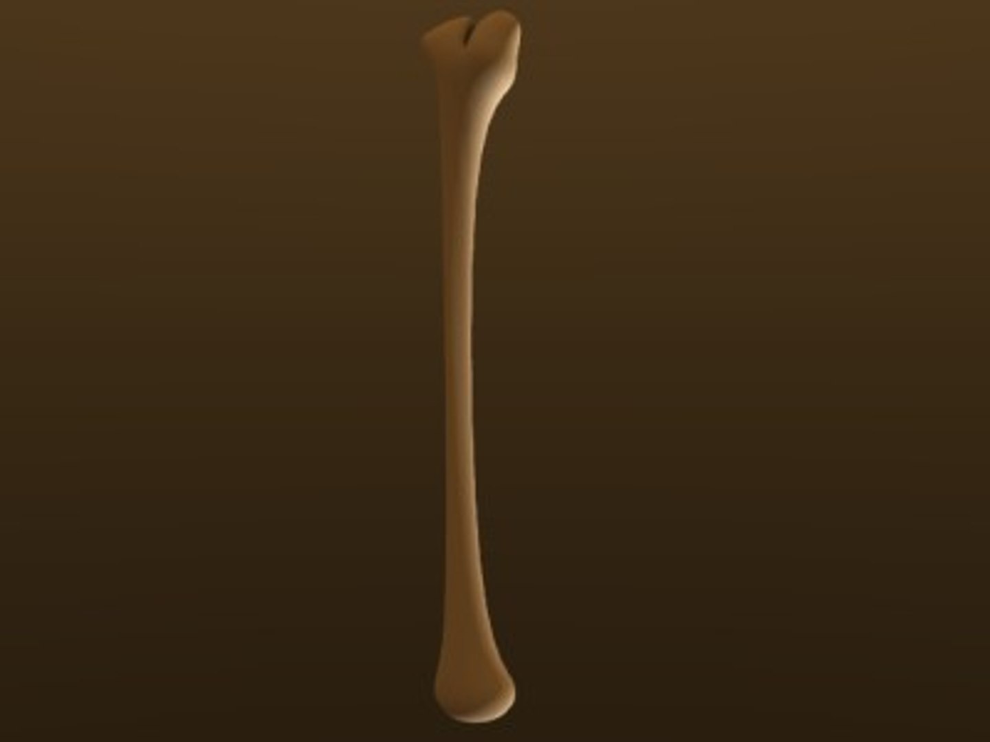 3ds Max Bone Animal