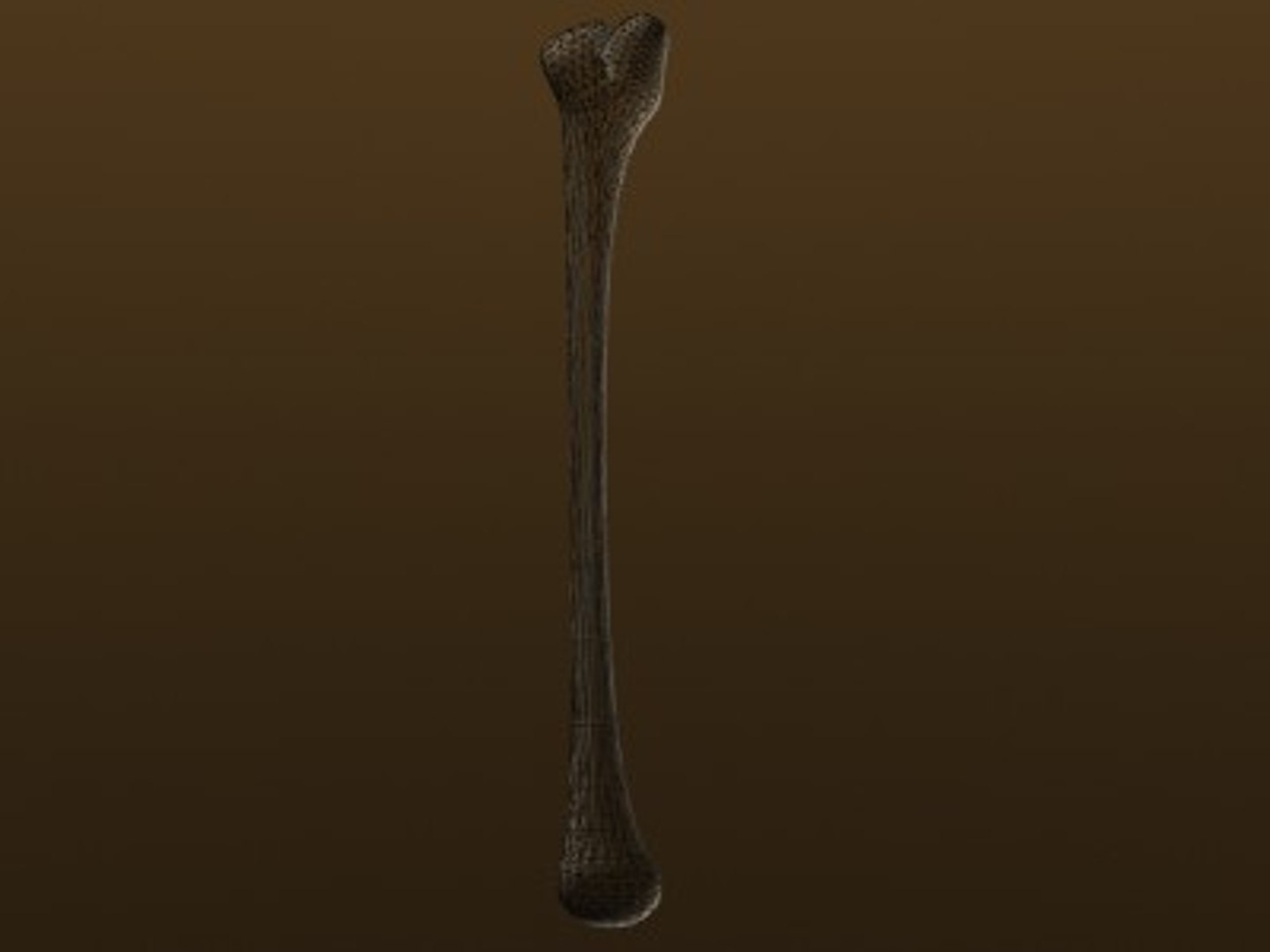 3ds Max Bone Animal