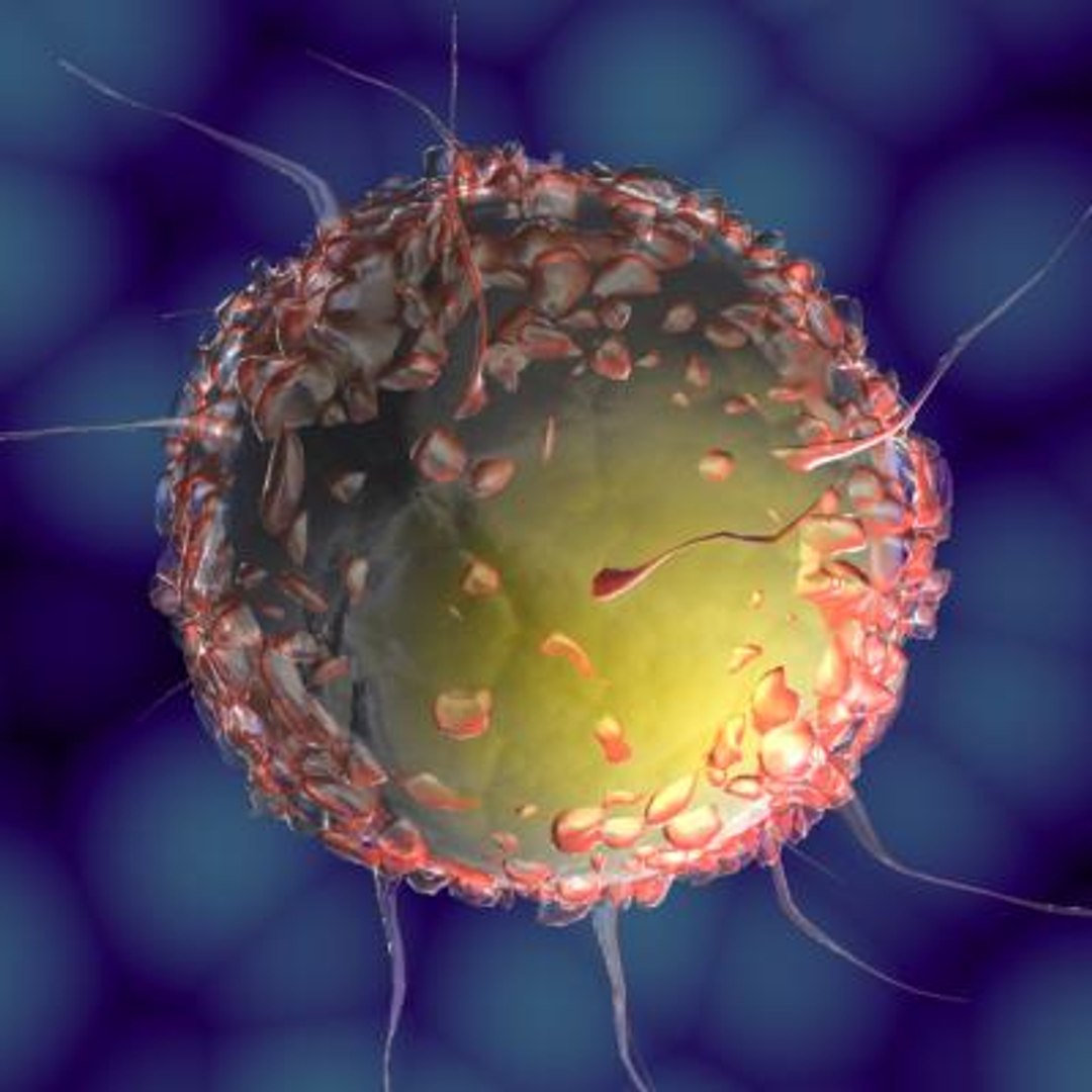 Cancer Cell 3d Model