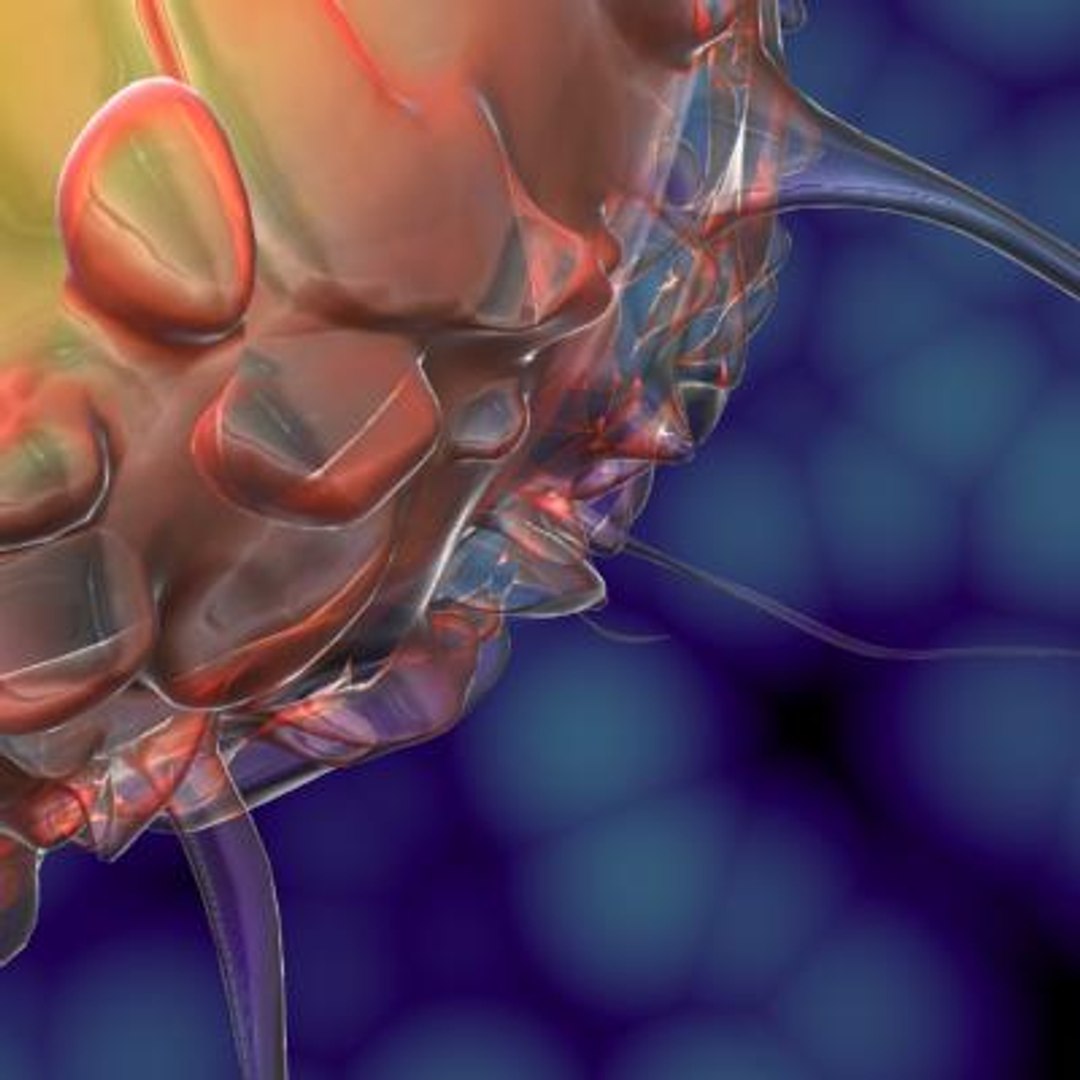 Cancer Cell 3d Model