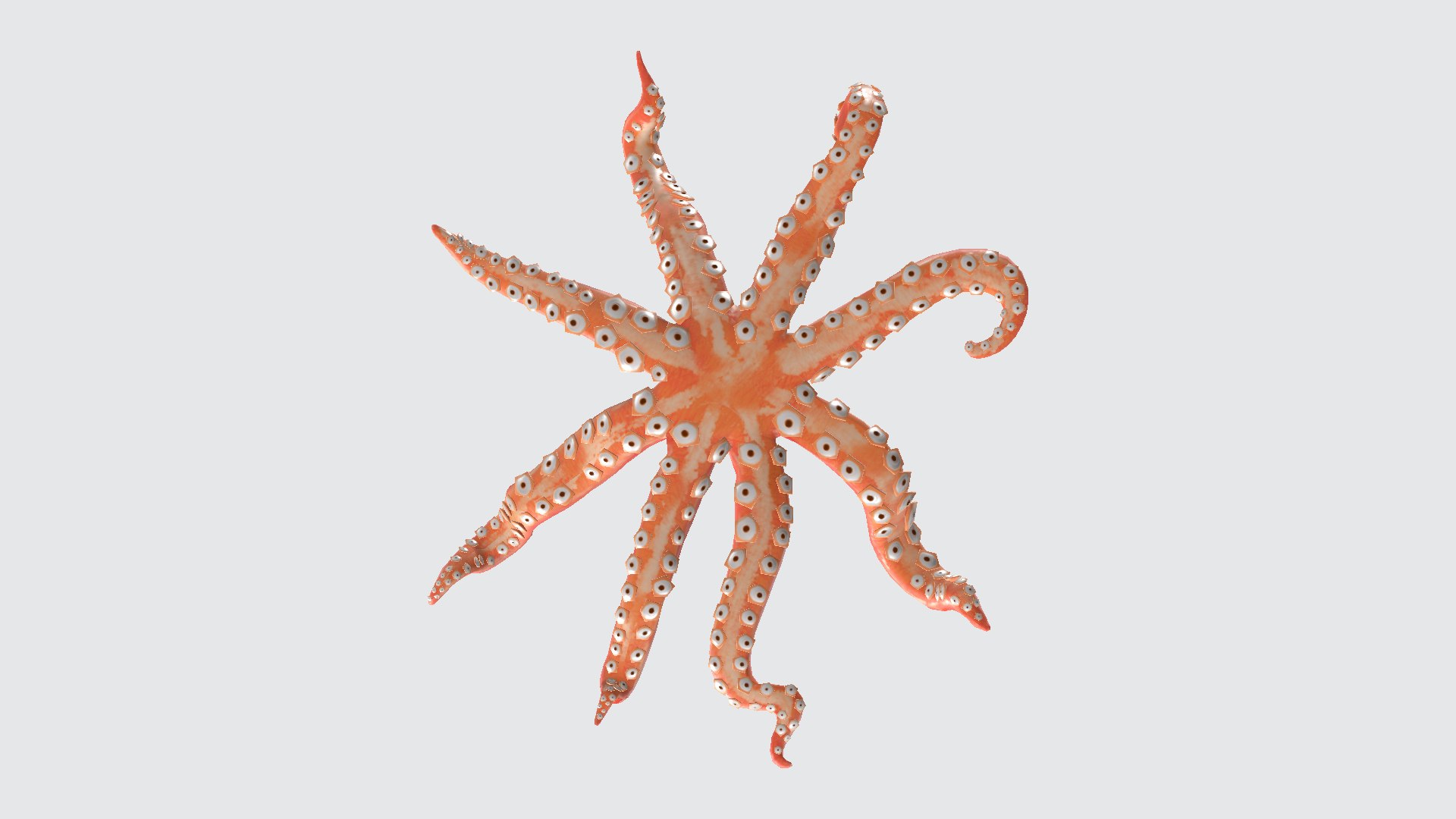 Octopus Body - TurboSquid 2366772