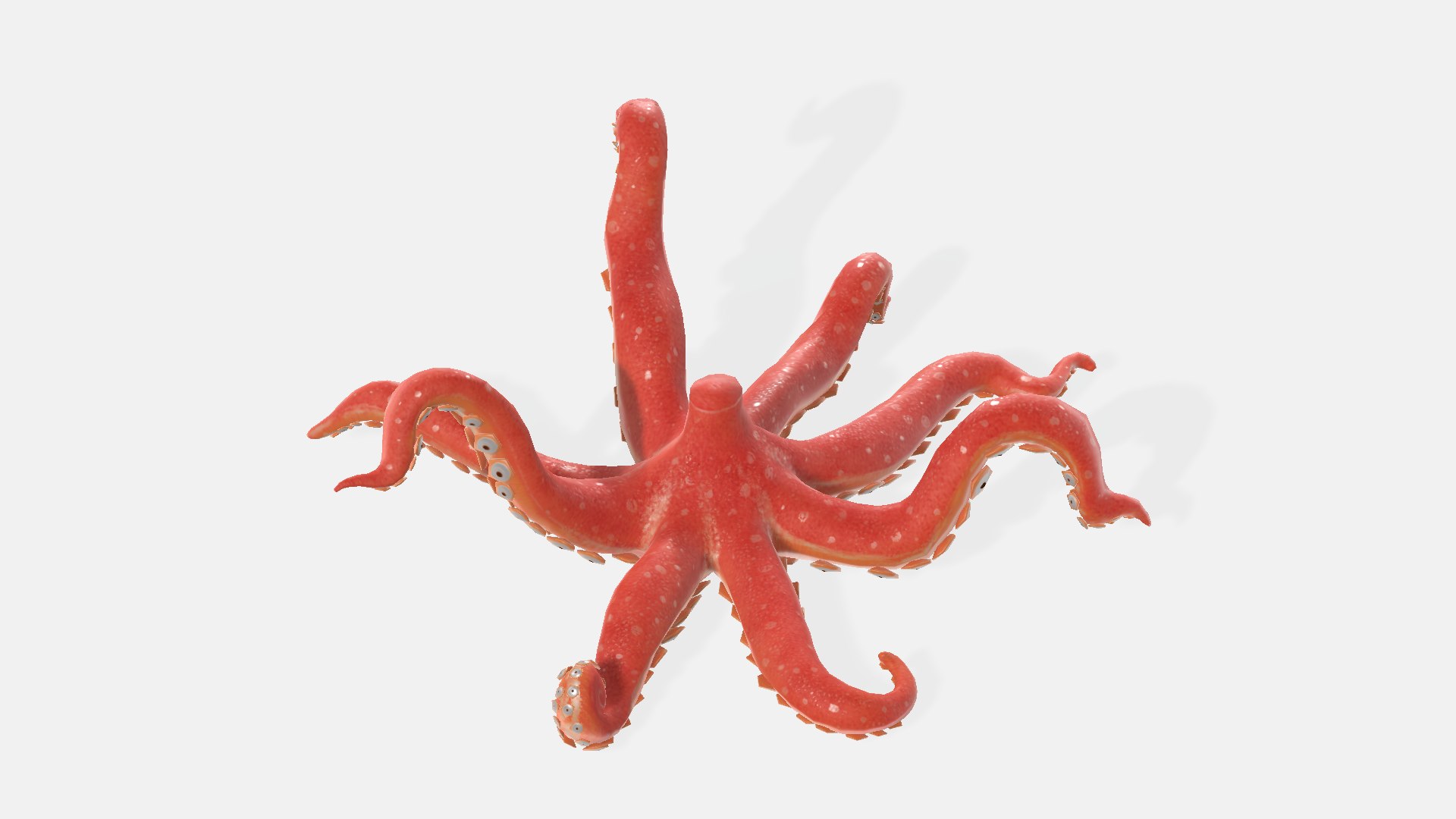 Octopus Body - TurboSquid 2366772