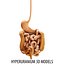 3d digestive intestine duodenum model