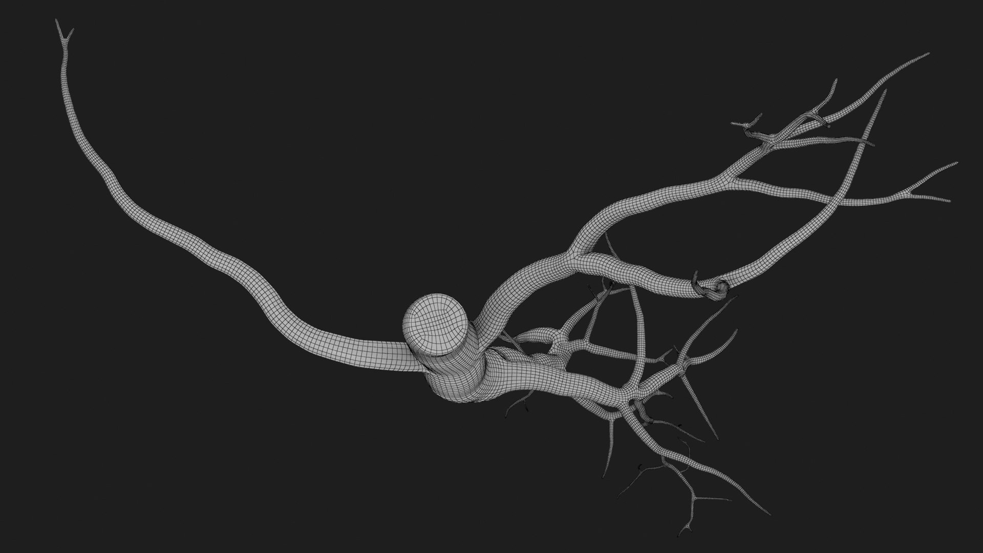 3D Model Tree Root 01 Color 2 - TurboSquid 2139565