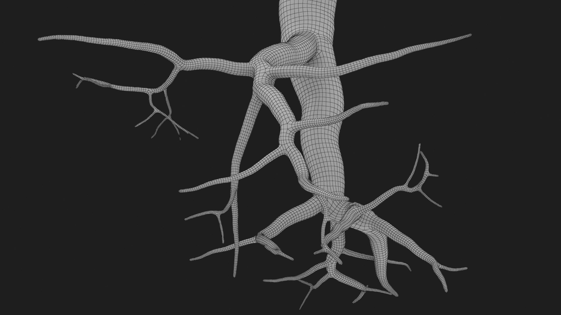 3D Model Tree Root 01 Color 2 - TurboSquid 2139565