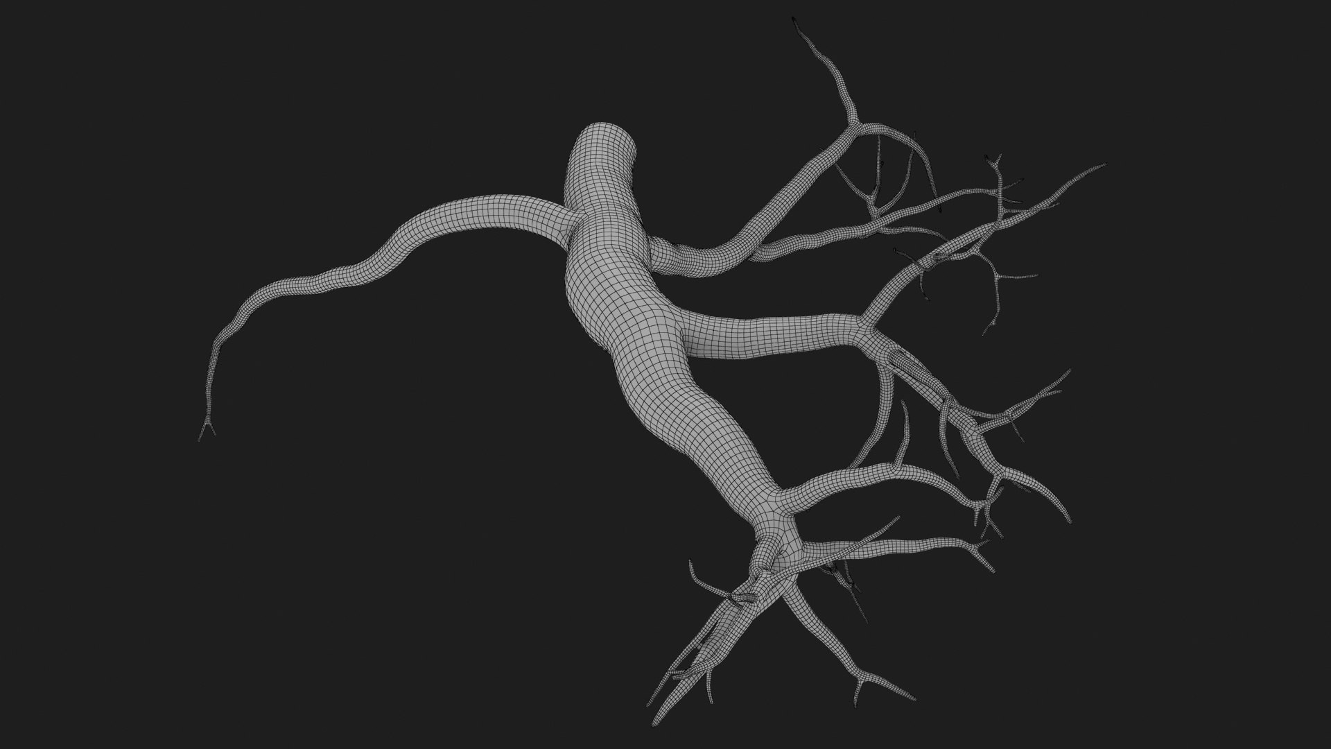 3D Model Tree Root 01 Color 2 - TurboSquid 2139565