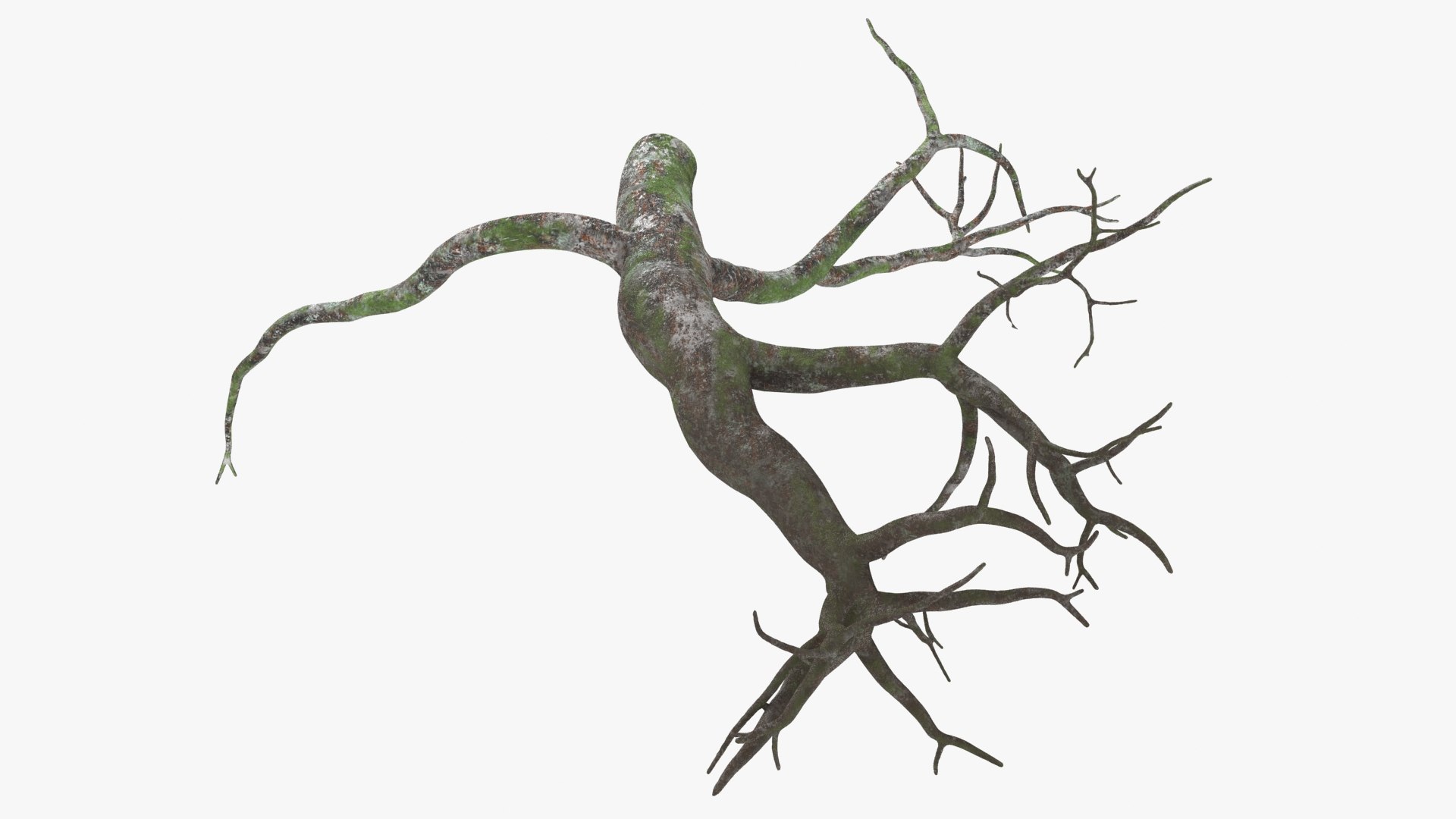 3D Model Tree Root 01 Color 2 - TurboSquid 2139565