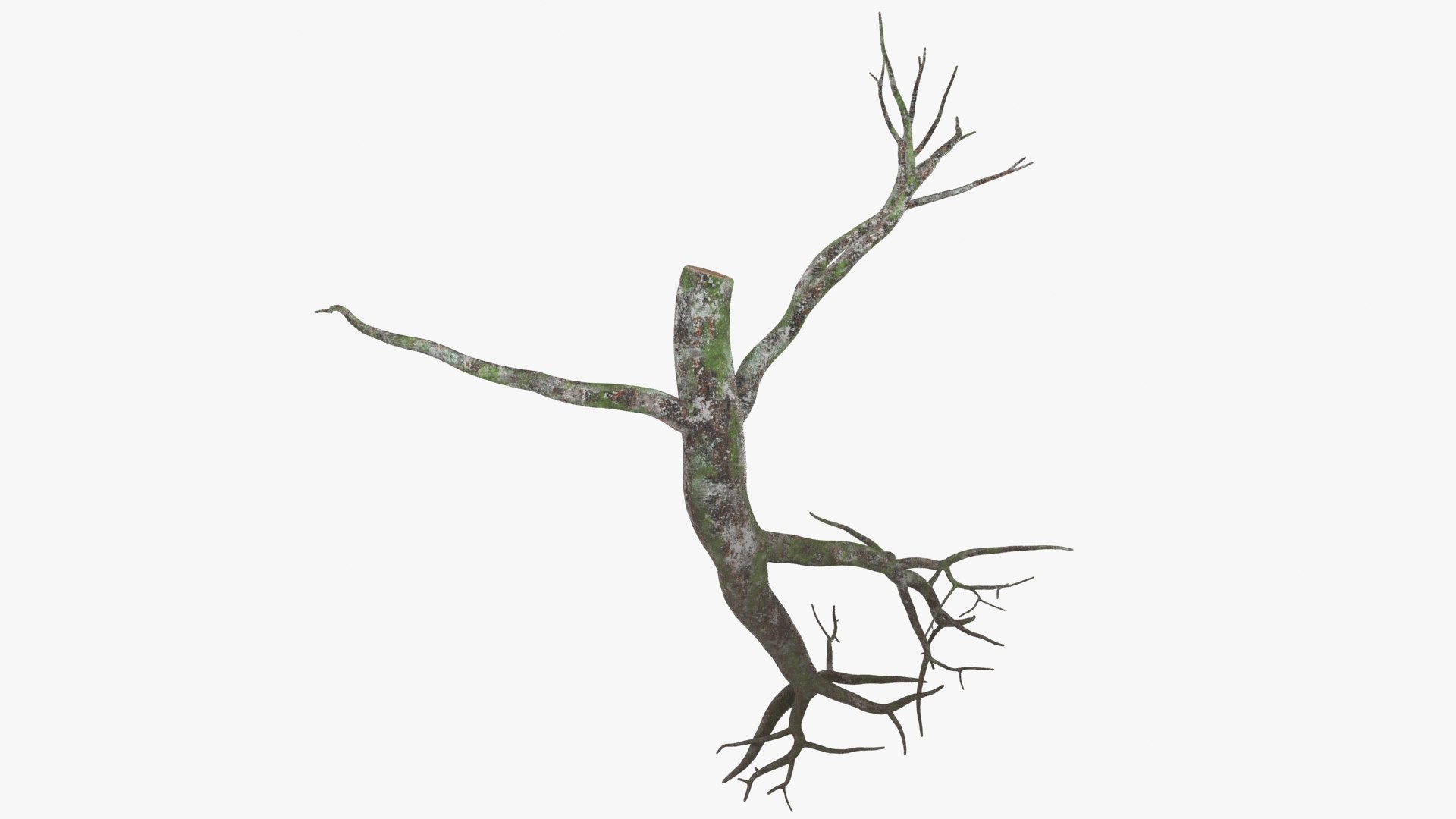 3D Model Tree Root 01 Color 2 - TurboSquid 2139565